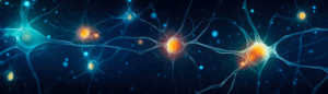 Tout comprendre sur les neurotransmetteurs | ANPERE